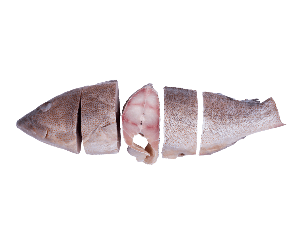 Spotted Grouper - Burum Sea Food Company
