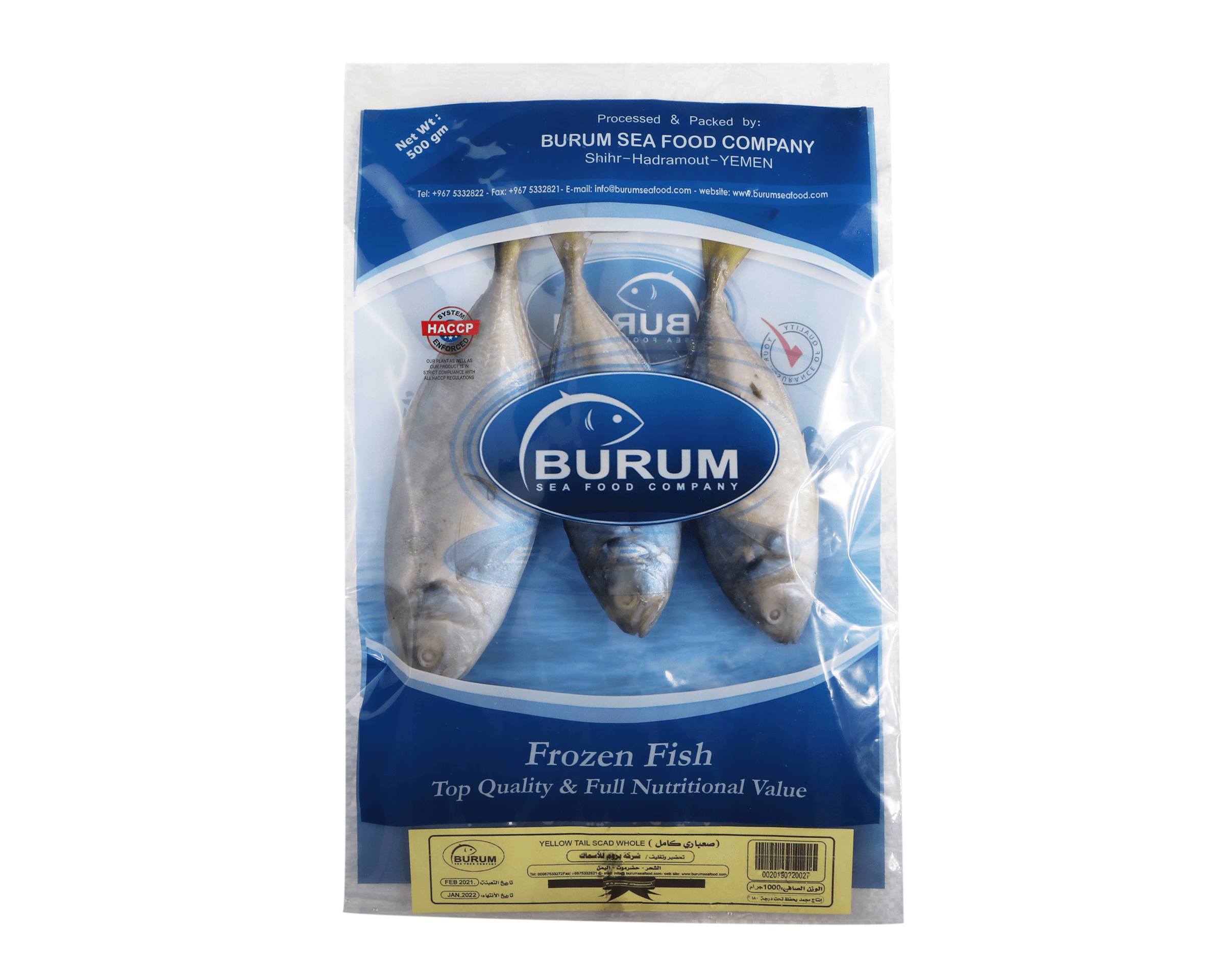Yellow Tail Scad (Wholeround) - Burum Sea Food Company