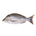 Frozen Seafood Products - Burum Sea Food Company