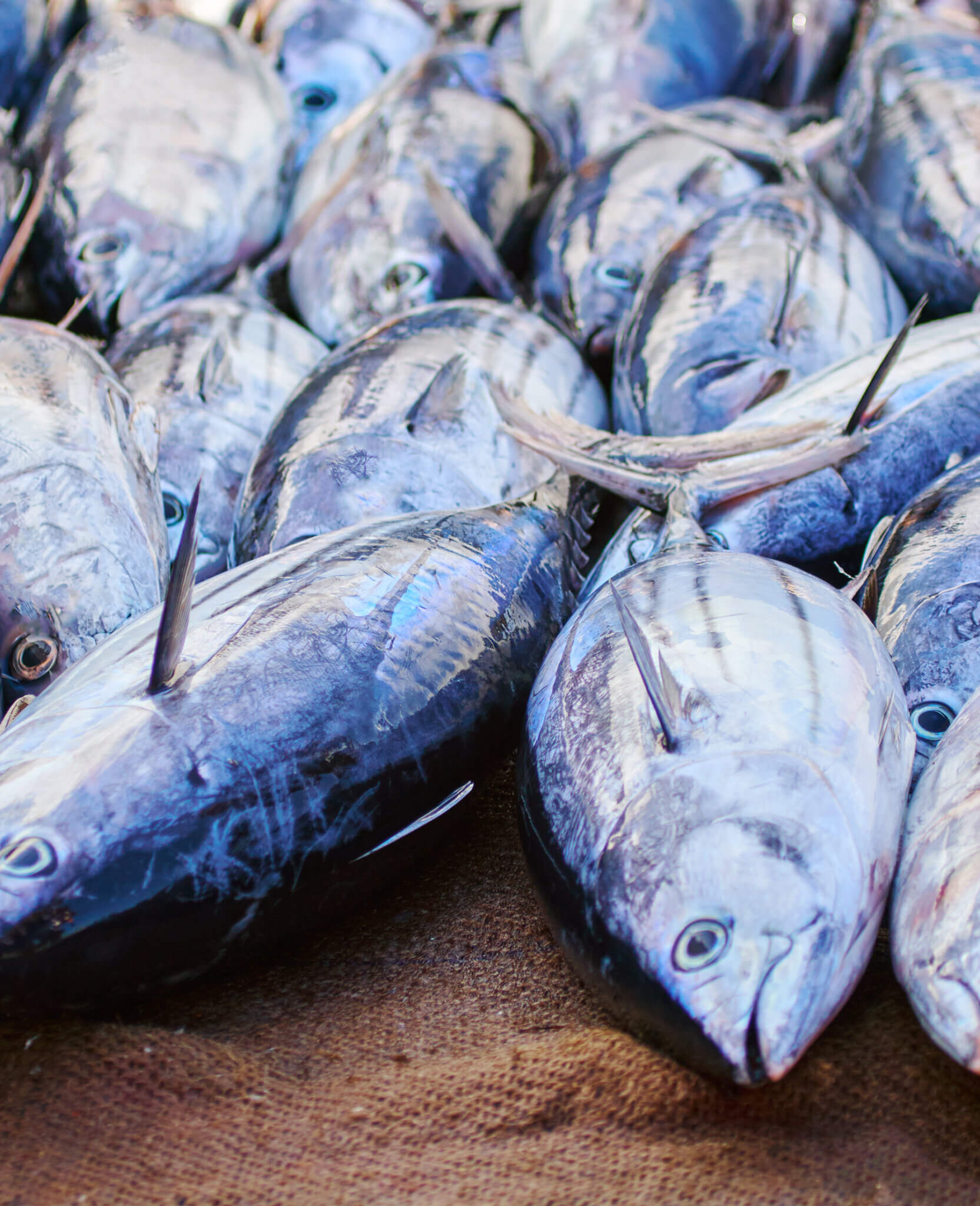 Burum Sea Food Company