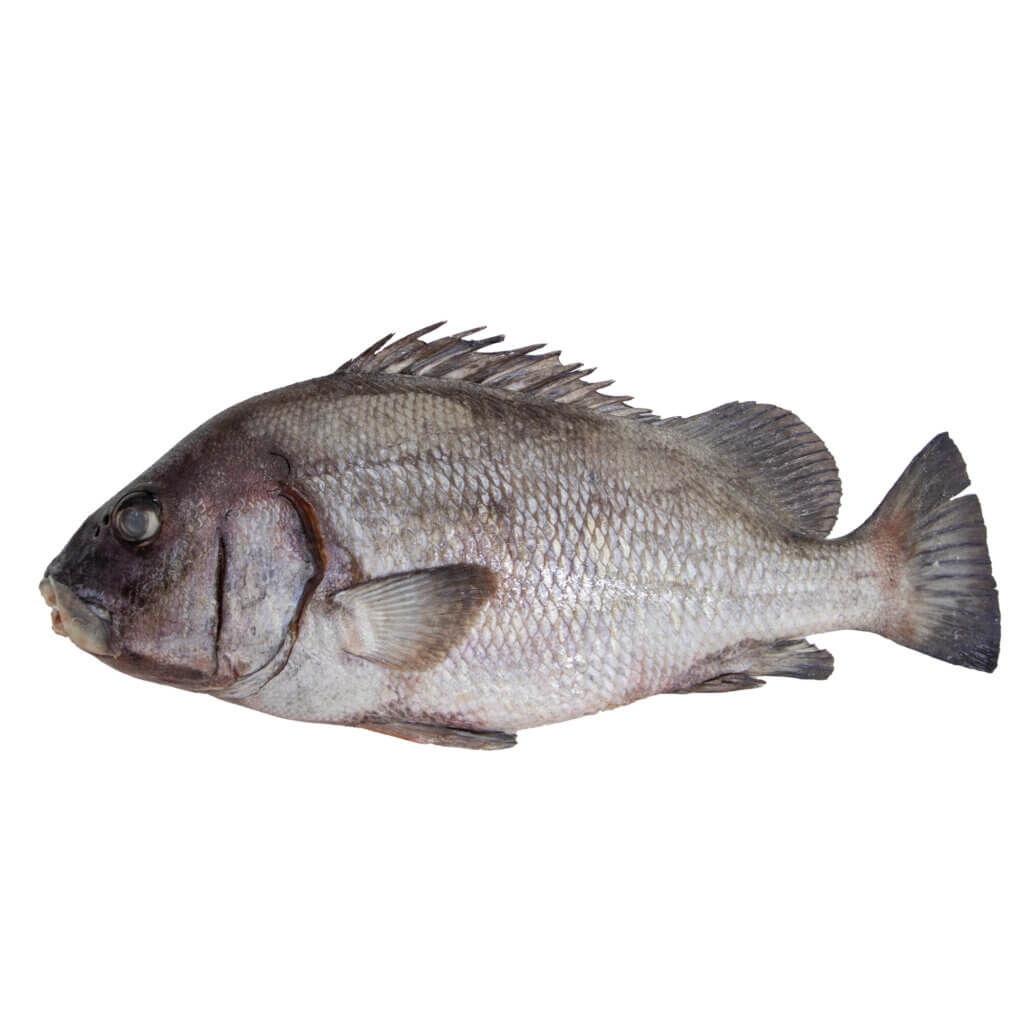 Sweet Lips - Burum Sea Food Company